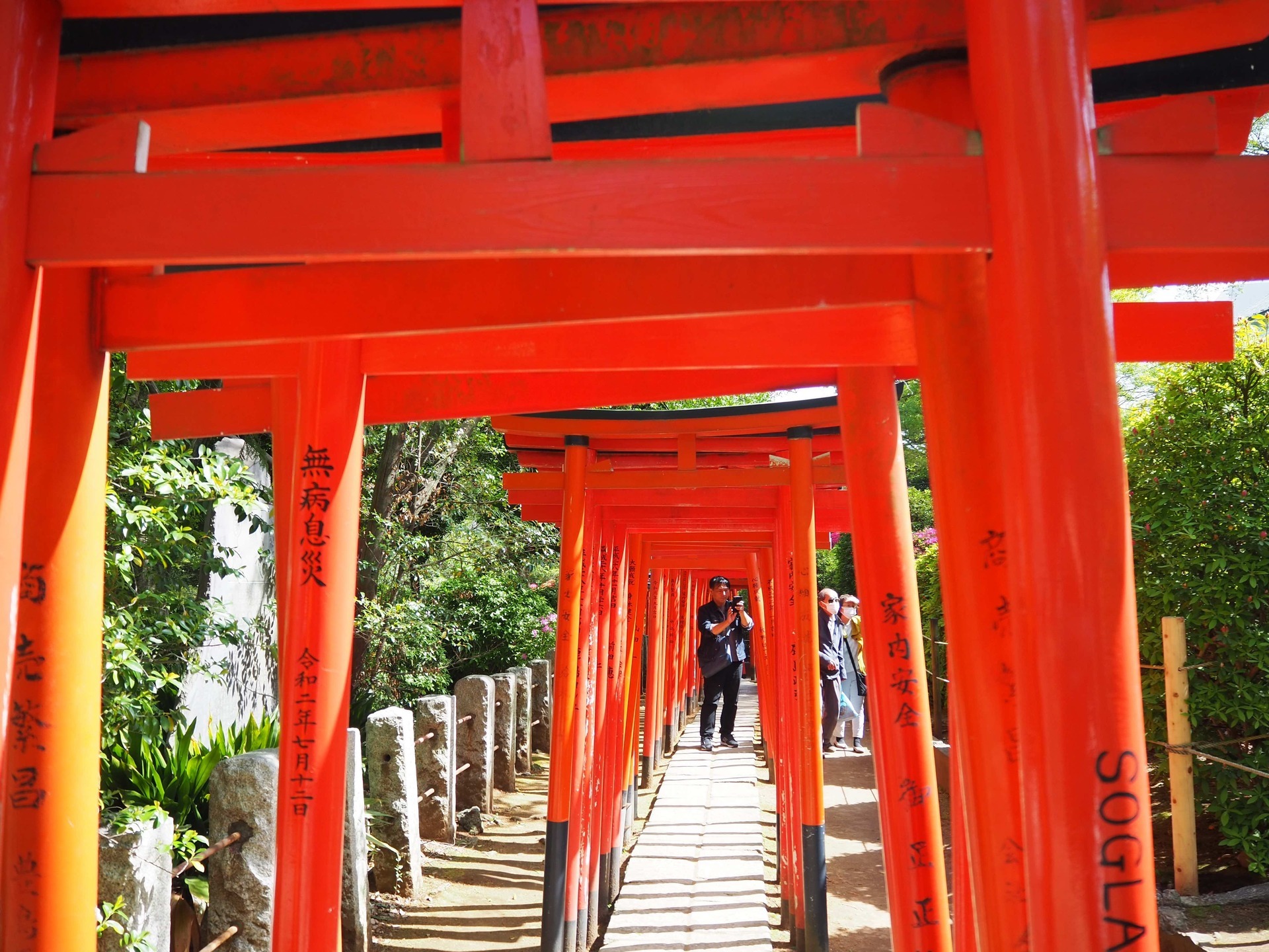 谷根千から根津神社: ぶらぶら日記